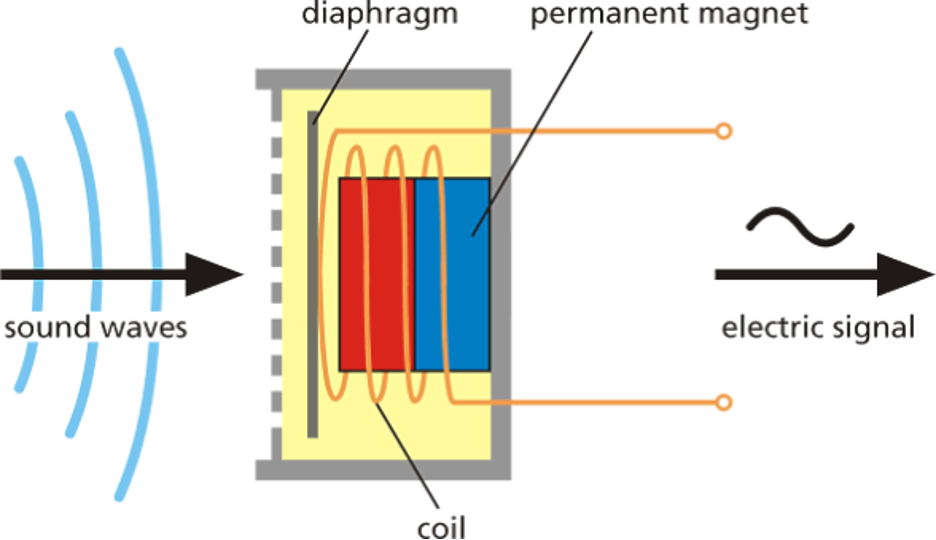 Hearing the Sound: Using Sound to Understand and Protect a Changing ...